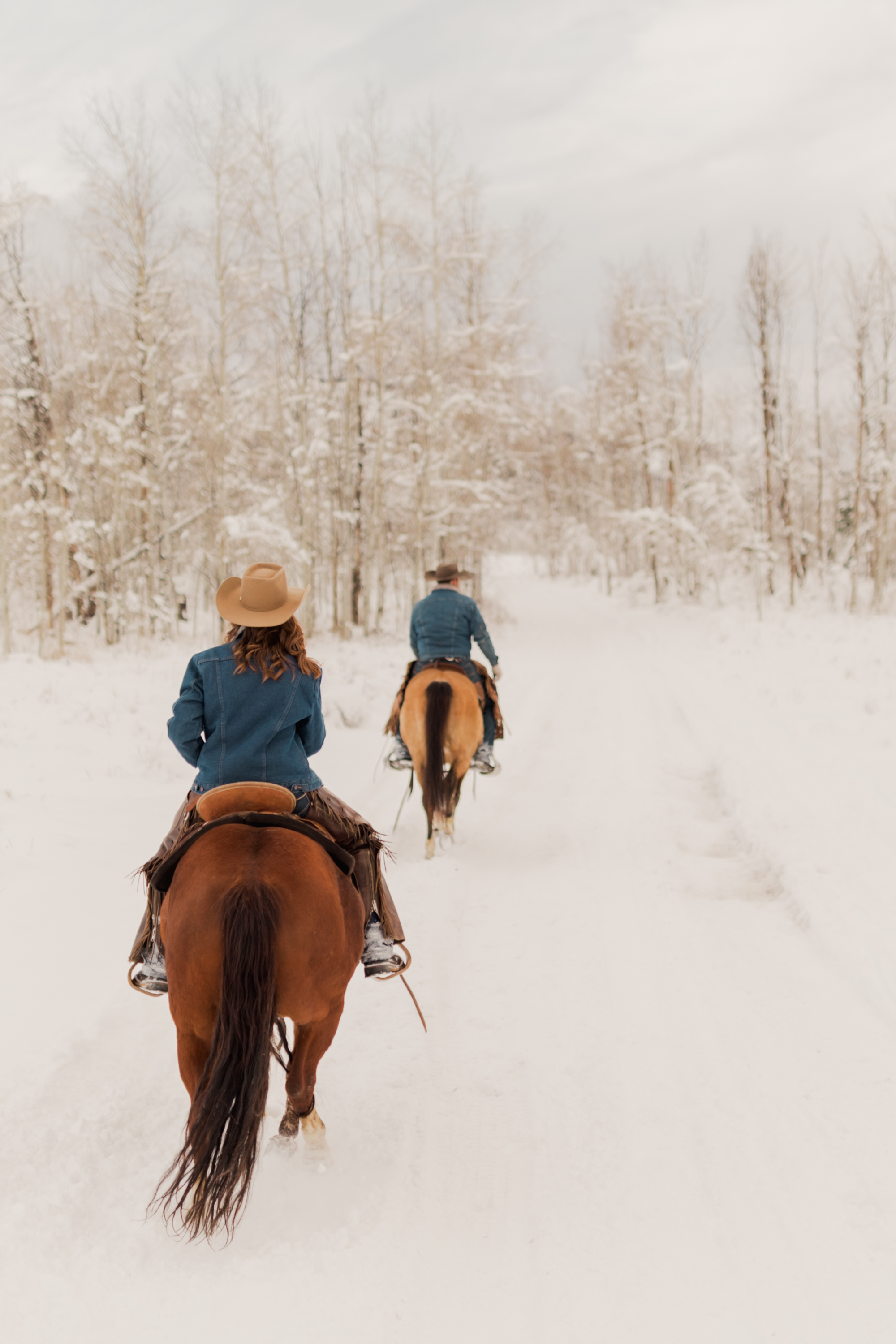 Western Couple Photos | Lane and Mia's Snowy Mountain Horse Ride ...